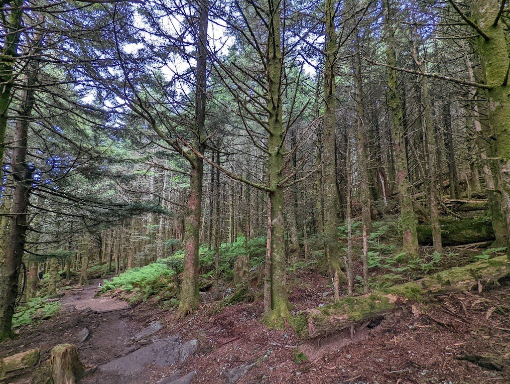 Mt. Mitchell State Park- Highest Mountain Peak east of the Rocky ...