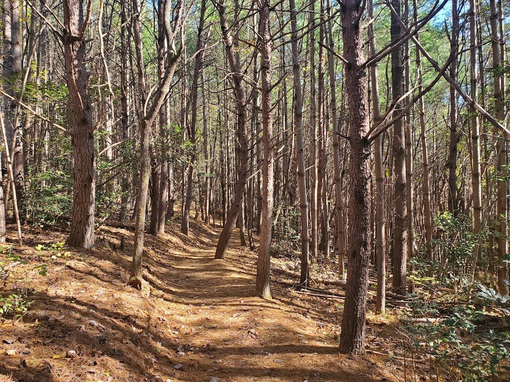 Fonta Flora State Trail- OPEN ONLY at Burke County Park! - Burke County ...