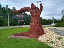 Fonta Flora State Trail- OPEN ONLY at Burke County Park! - Burke County ...