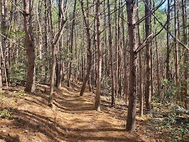 Fonta Flora State Trail - Burke County Tourism