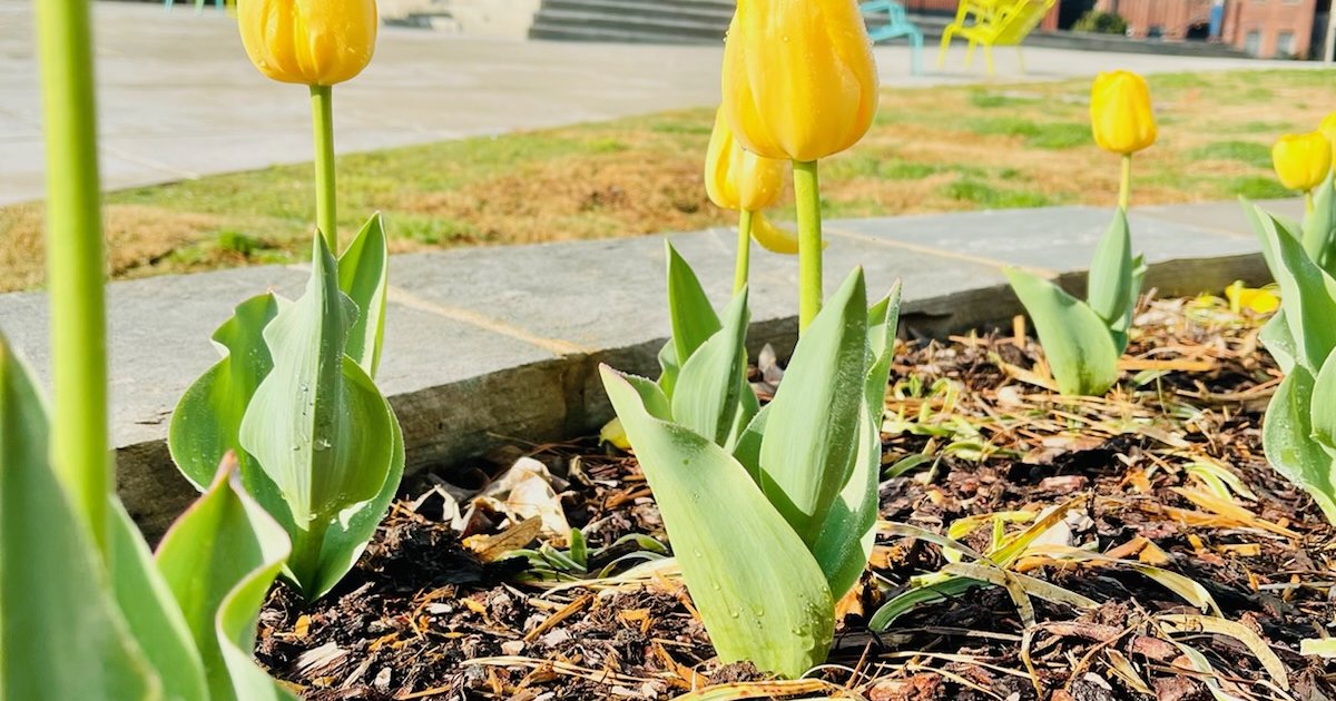 Why Spring is the Perfect Time to Visit Burke County | Discover Burke ...